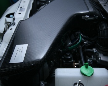 Try Force - Carbon Intake - Nengun Performance