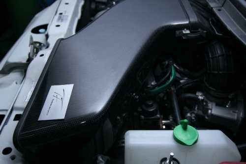 Try Force - Carbon Intake - Nengun Performance