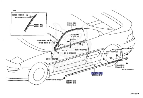 75731-17060 - Toyota - Molding, Front Door, Outside Rh - Nengun Performance