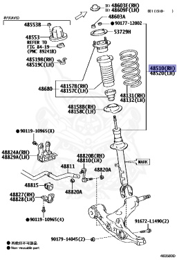 48510-80565 - Lexus - FRONT SHOCK ABSORBER ASSY, RH - Nengun Performance