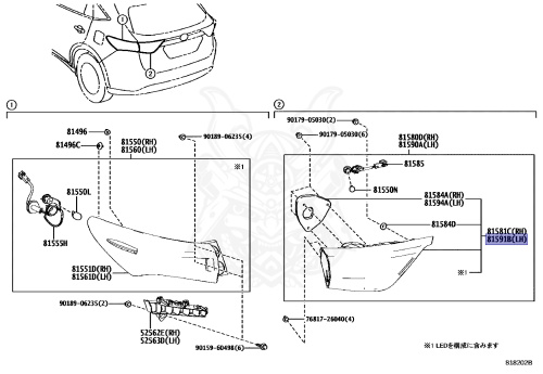 81591-48250 - Toyota - REAR LAMP LENS AND BODY, LH - Nengun Performance