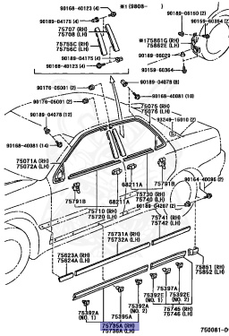 75735-22070 - Toyota - FRONT DOOR OUTSIDE LOWER MOULDING, RH - Nengun ...