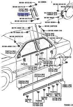 75755-22070 - Toyota - Moulding, Front Door Window Frame, Rear Rh ...